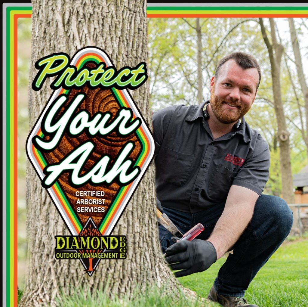 Diamond Edge Outdoor Management | Drive Social Media